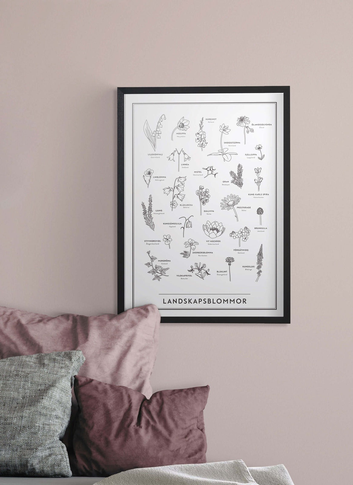 Botaniska posters - Botaniska tavlor online - Kunskapstavlan®